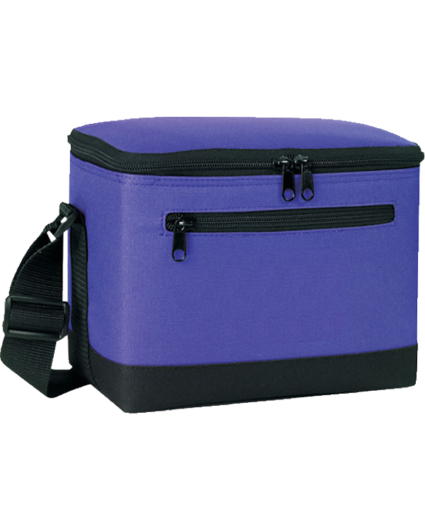 Deluxe 6-Pak Cooler – Race Track Wholesale